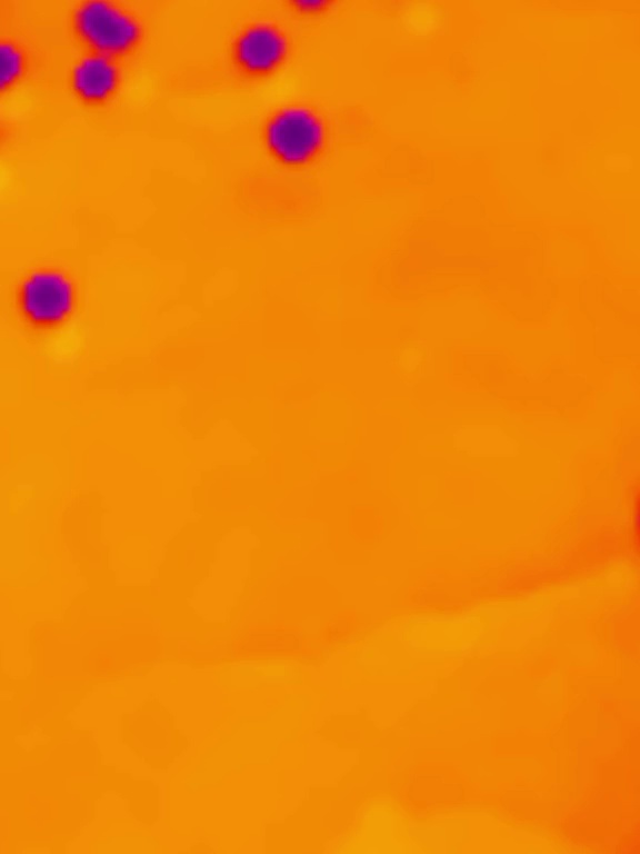 Tomate Detection Object Detection Model By Universitas Hasanuddin