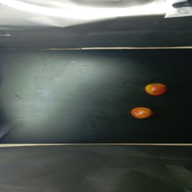 Tomato Detection Object Detection Dataset By Universitas Hasanuddin