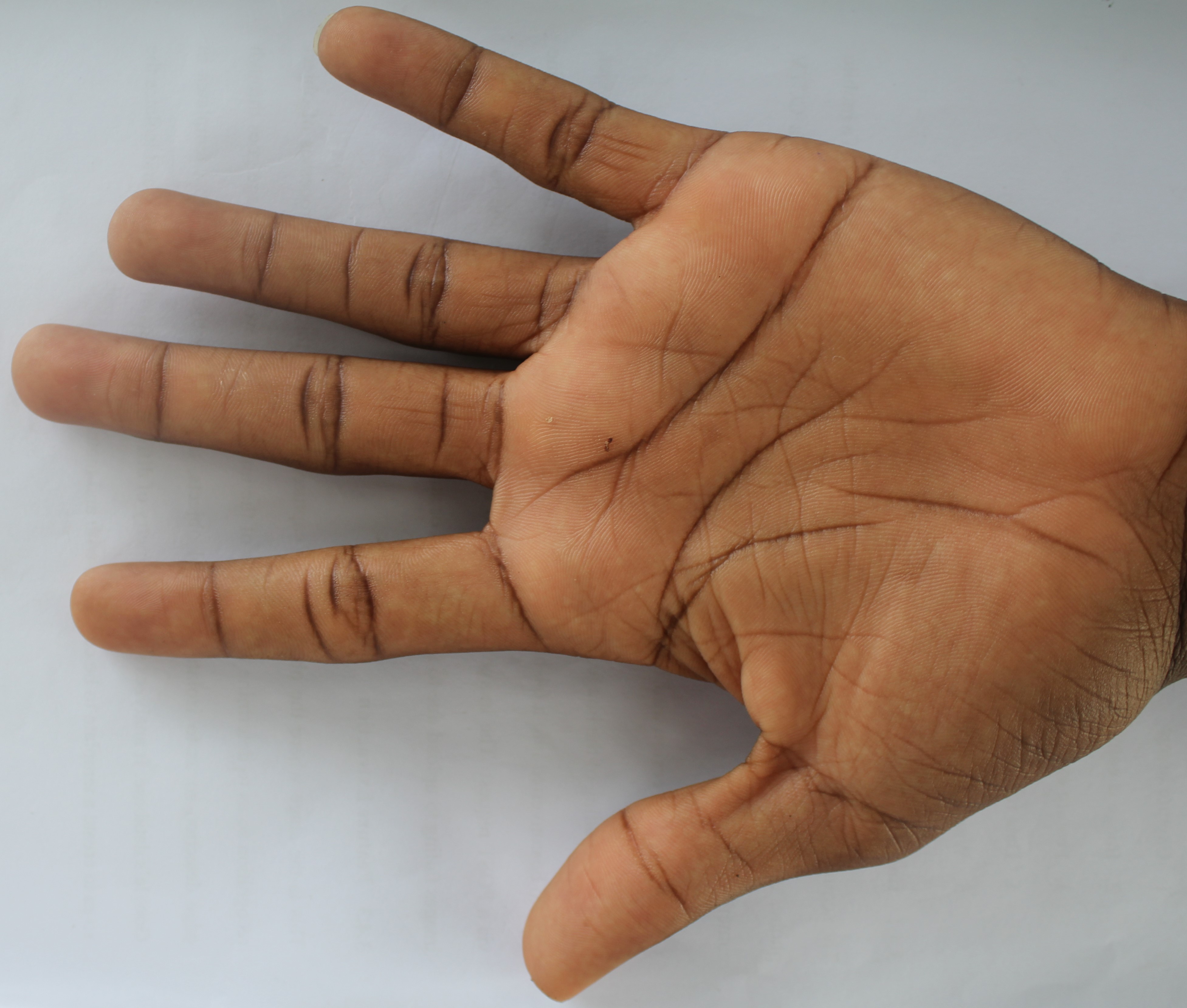 hand Object Detection Model by THANAWAT MUANGSIRIKUL