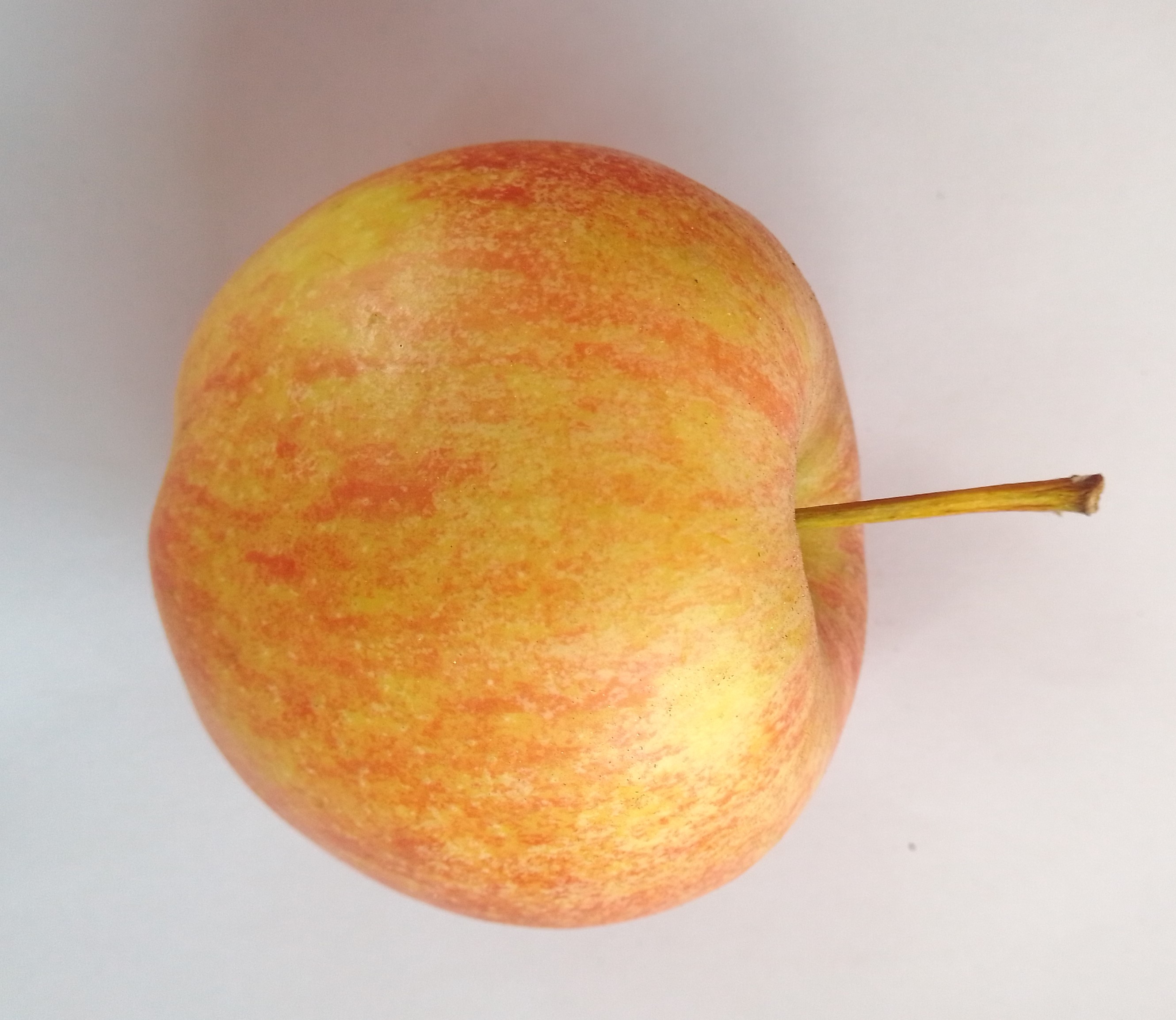 UAS_Apel Object Detection Model by Dwi Restu