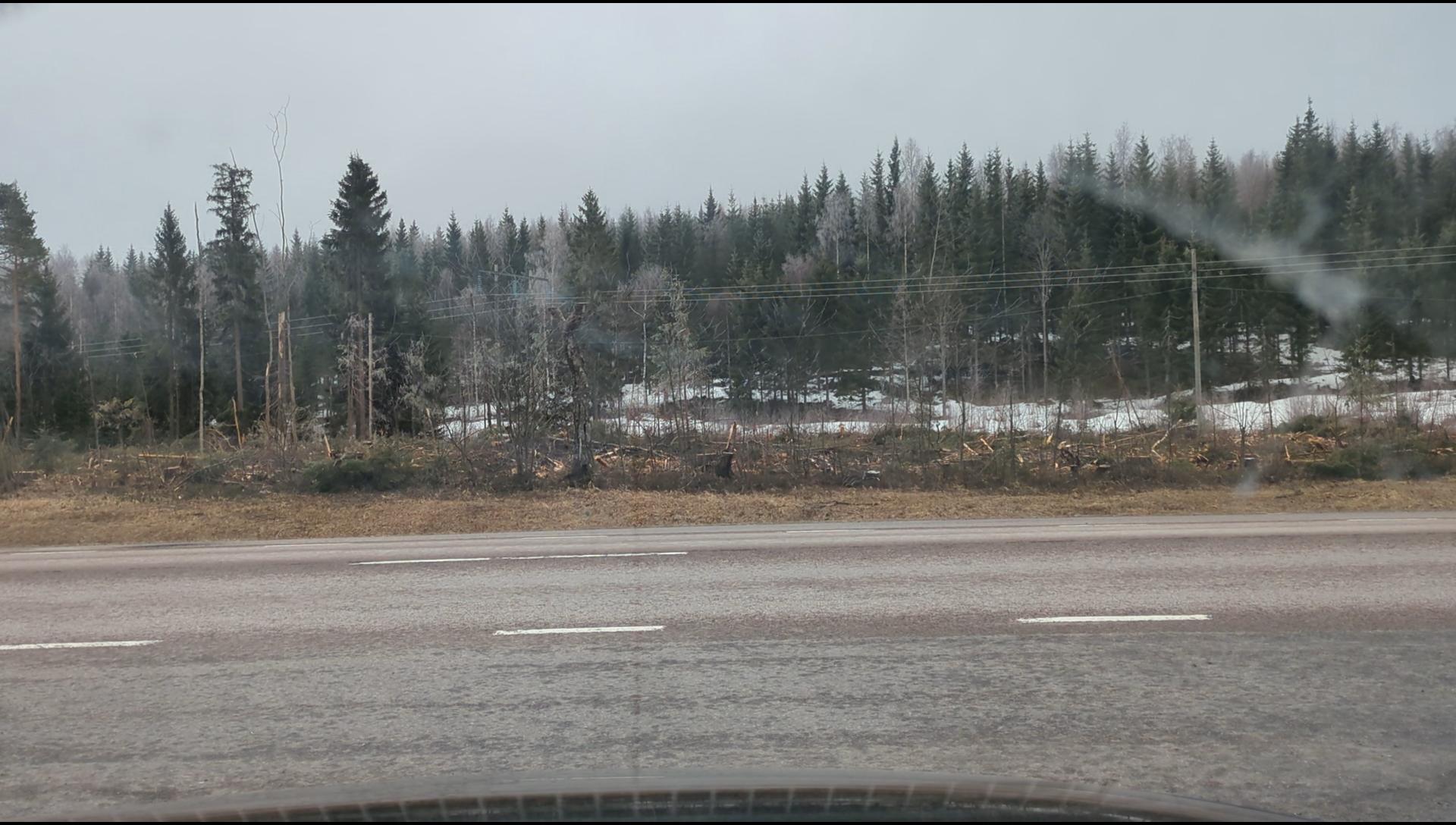 Road Defect Annotation MHD Anas - Roboflow Universe