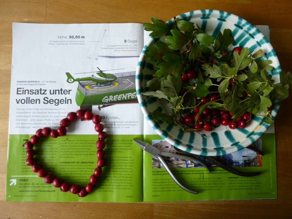 flowerfruit Object Detection Dataset by dkmf