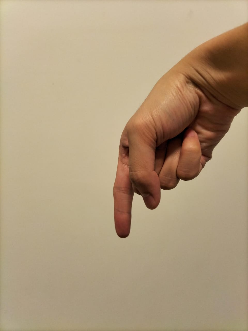 ALL HAND Object Detection Model by hand