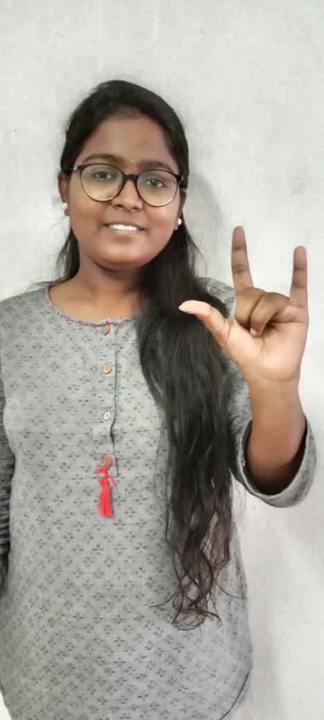 sl Object Detection Dataset by project