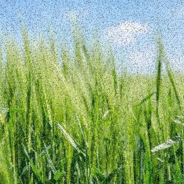 Crop Detection Object Detection Model By Crop Detection