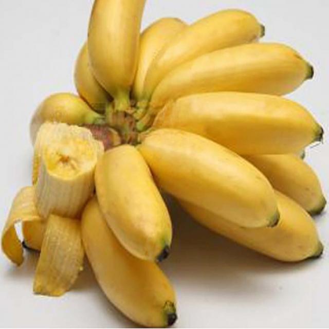 Banana Dataset Object Detection Dataset By Vege