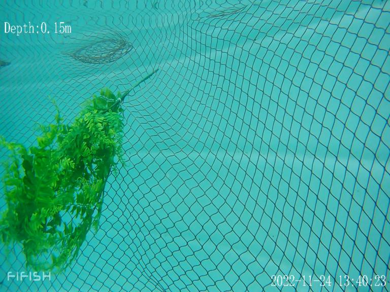 aqua_net 2 Object Detection Dataset by KZ