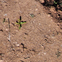 Typical Workspace - Roboflow Universe