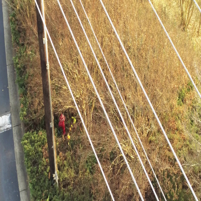 computervision Instance Segmentation Dataset by Workspace