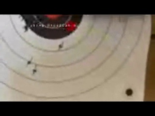 BDS Object Detection Model by bullet detect