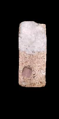 Nest V2 Instance Segmentation Dataset by Ground Detection