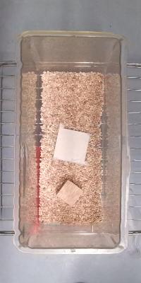 Ground Detection Instance Segmentation Dataset and Pre-Trained Model by Ground Detection