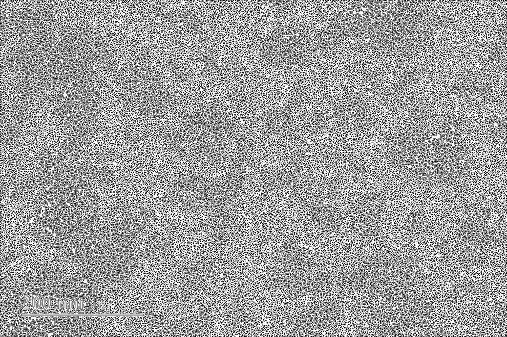 nanoparticles-classification Object Detection Model by ...
