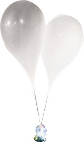 balloons Object Detection Dataset and Pre-Trained Model by yechans