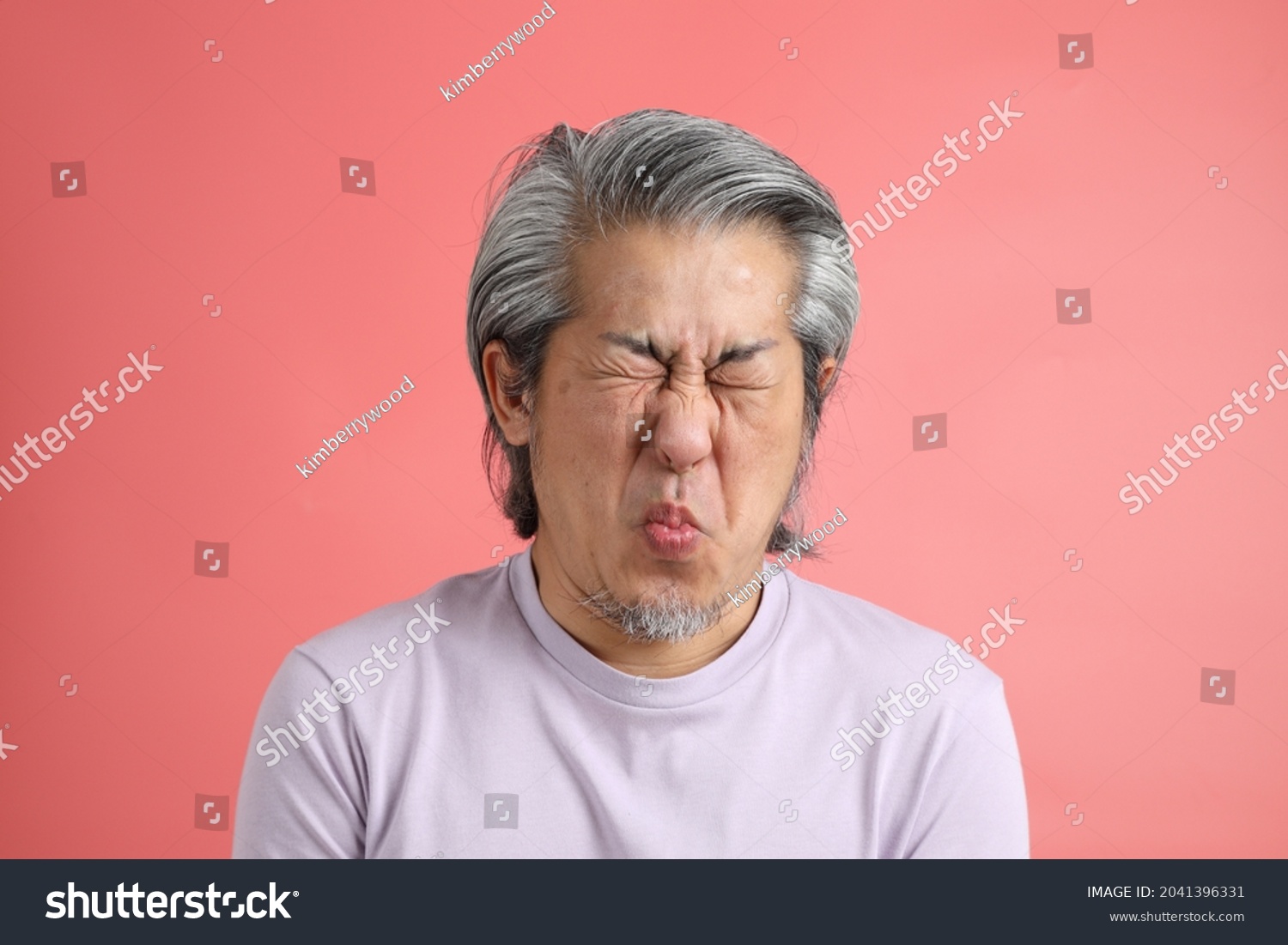 Face Emotion Classification Model V2 2024 09 28 6 33pm By Face Emotion