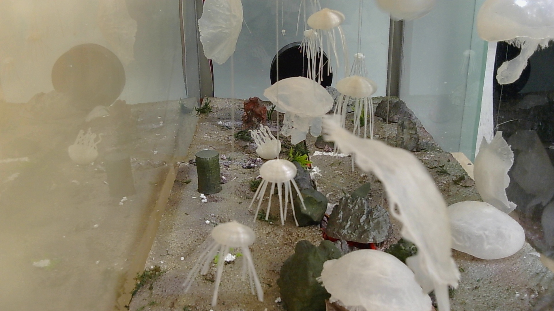 jellyfish detection Object Detection Dataset by jellyfish Detection