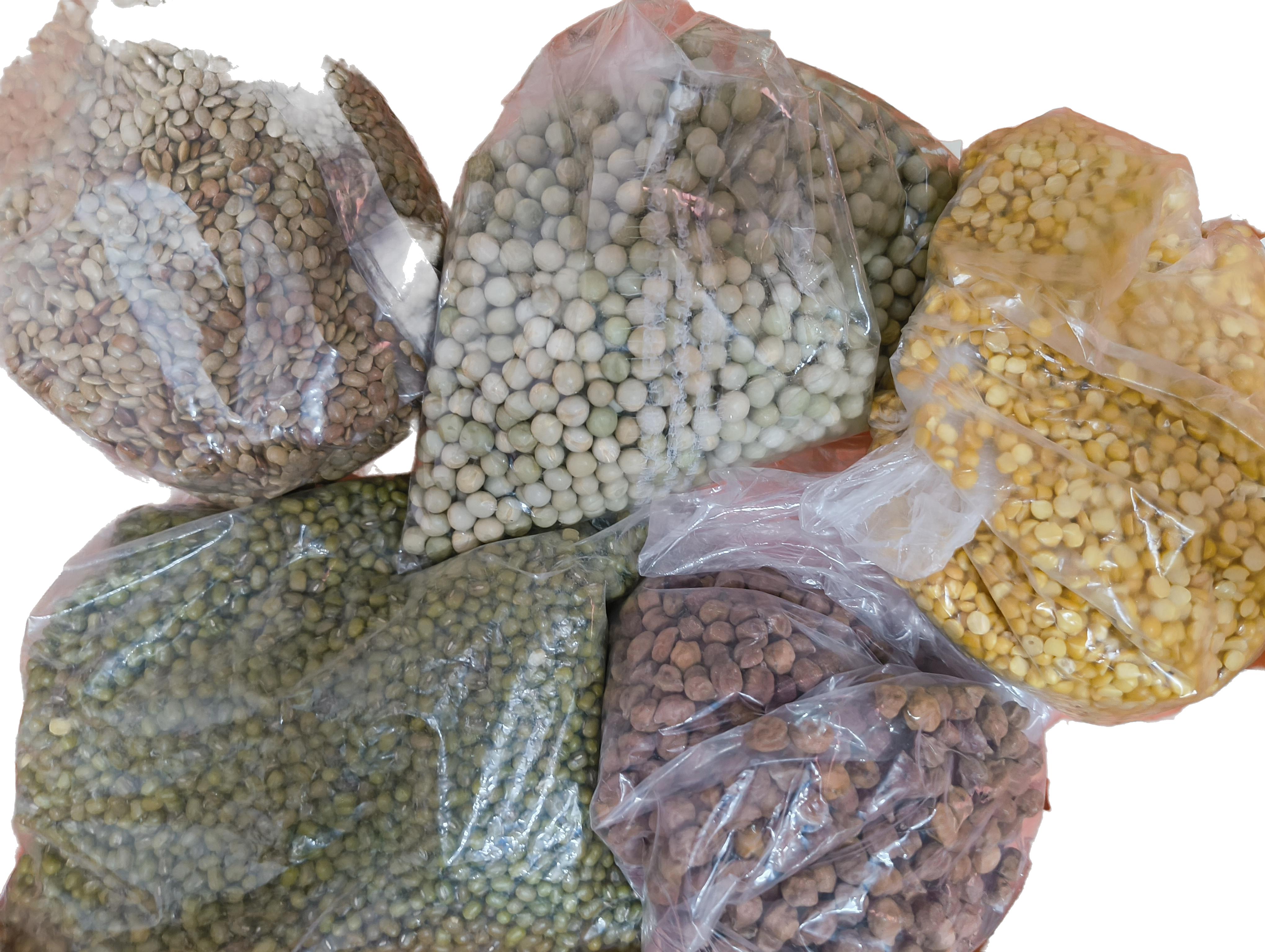 Trial_BG Object Detection Model by Capstone