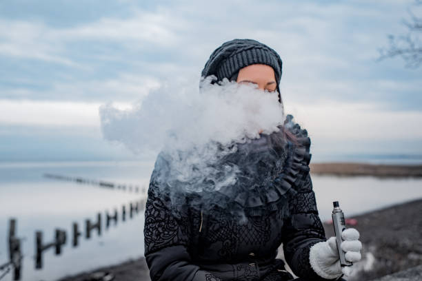 Vaping Models Object Detection Model by Dataset