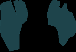 Shashi Singh - Roboflow Universe