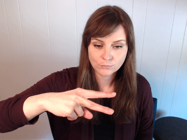 rps Object Detection Dataset by rps