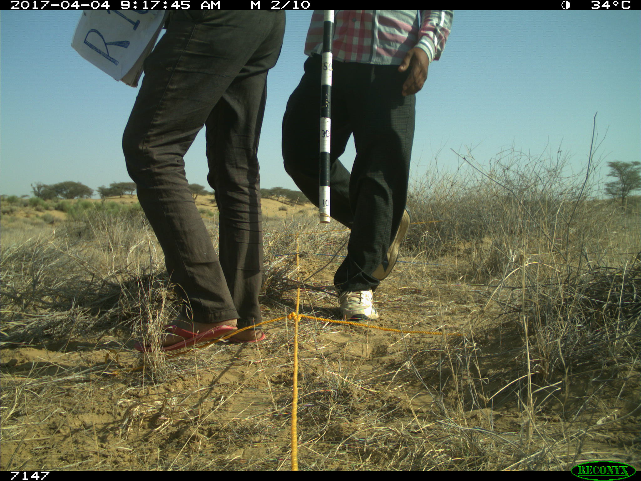 Camera Trap v2 Object Detection Dataset by camera trap ver 2