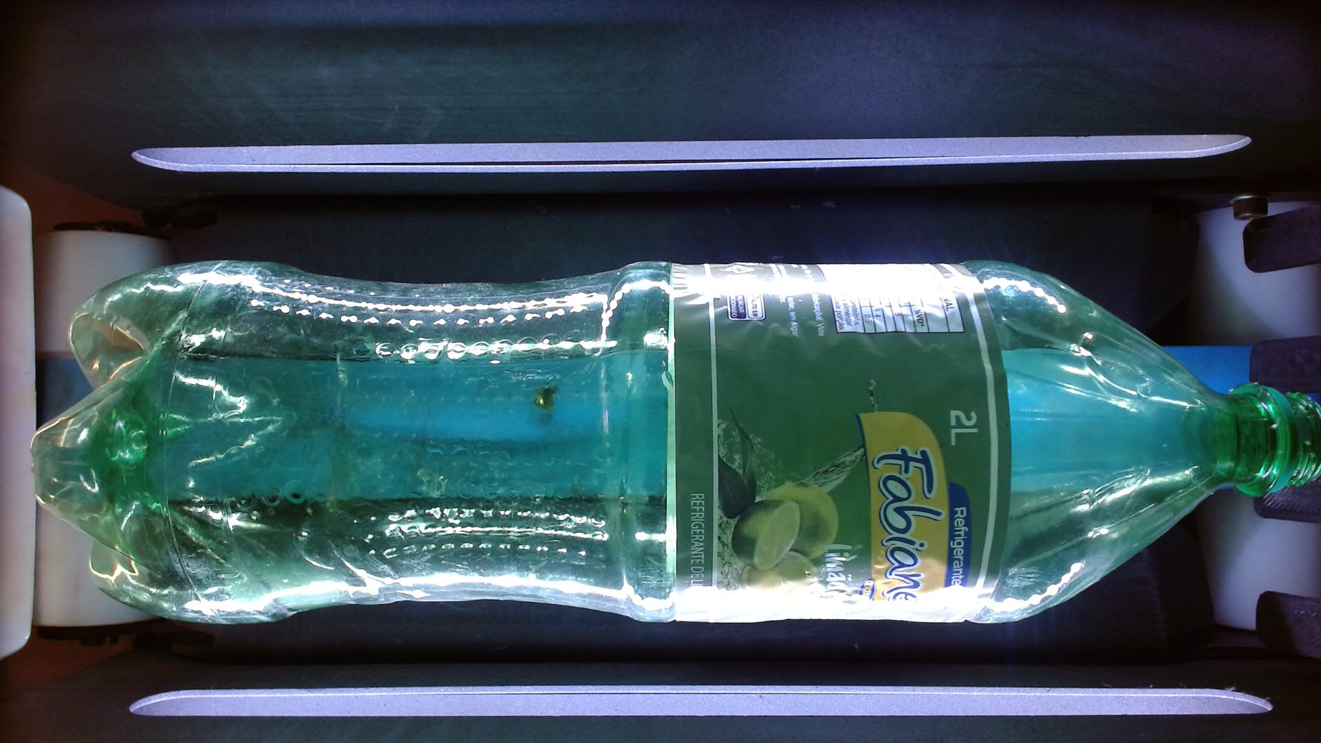 Pet Detection Instance Segmentation Dataset by amandanamikata