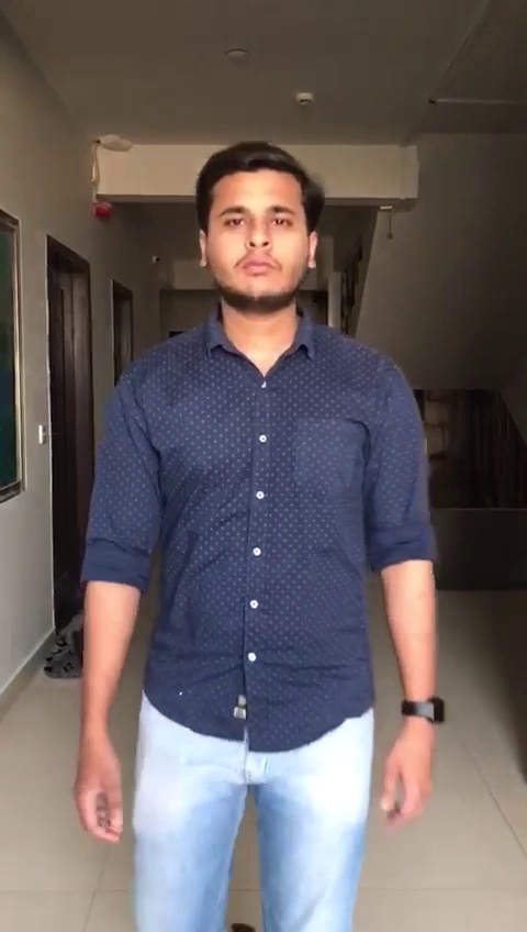 Walking Style Datasets Object Detection Dataset and Pre-Trained Model by Jawad Lodhi