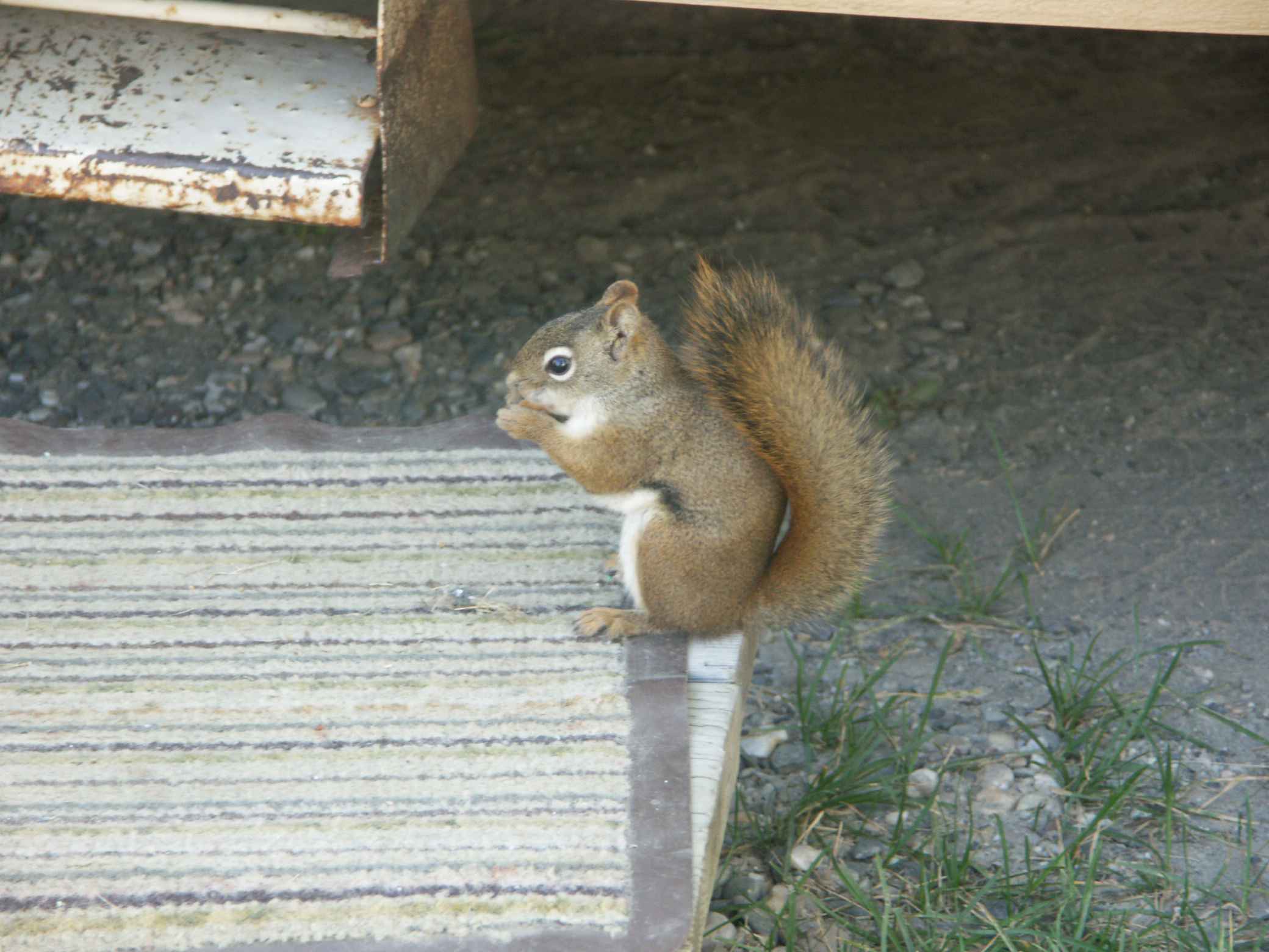 Detect And Classify Object Detection Object Detection Dataset And Pre