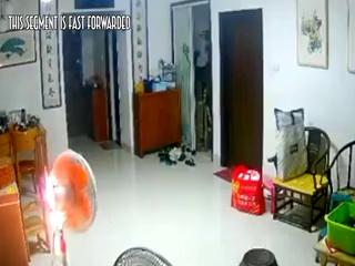 fireDetection Object Detection Dataset by zohairZZ