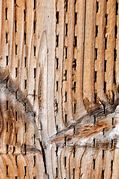 wood Object Detection Dataset by masood