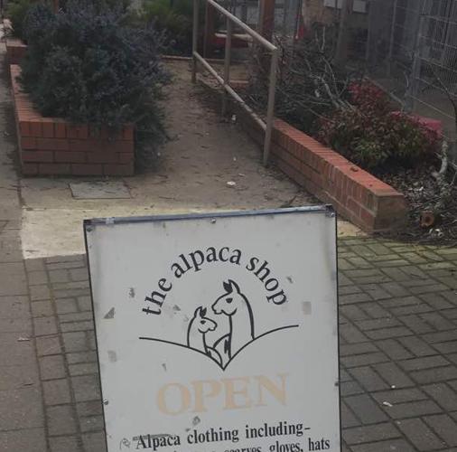 Text Detection Object Detection Model by Major Project