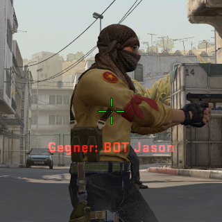 CSGO Models Object Detection Dataset by Falk Rasokat