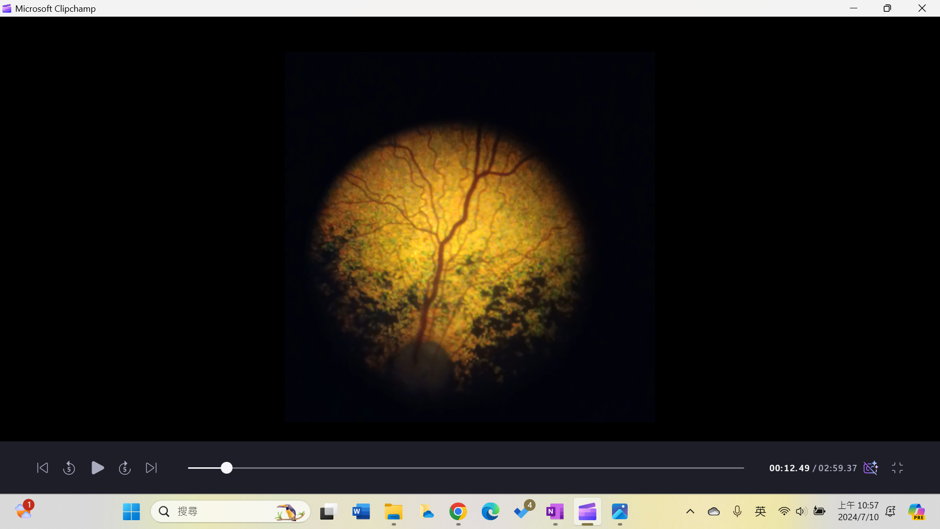PRA 2 Instance Segmentation Model by RETINA