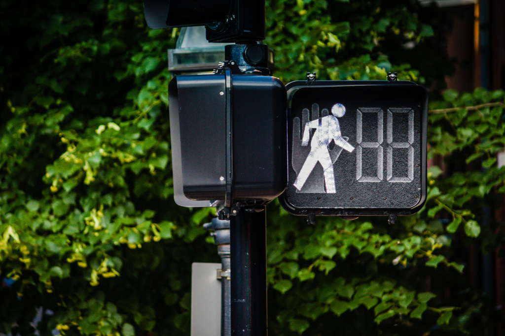 People Detection Object Detection Model by Luca