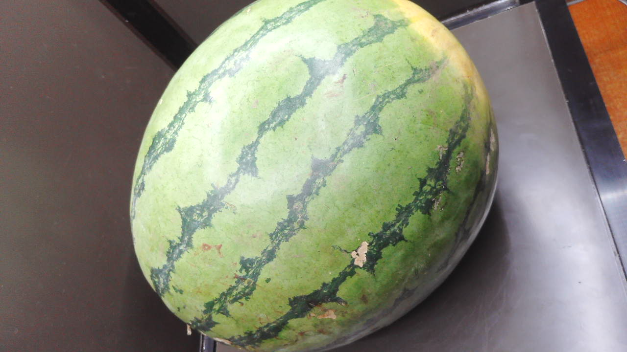 THESIS_DATASET_FINAL Object Detection Dataset by Handwritten Symbols