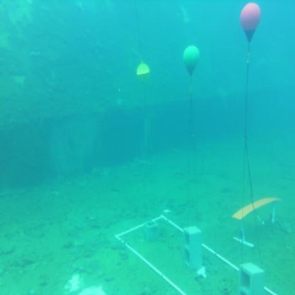 AUV_Object_Detection Object Detection Dataset and Pre-Trained Model by Dev M Bandhiya