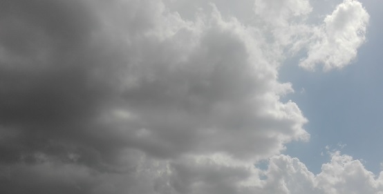 LAND DEGRADATION Object Detection Model by NED