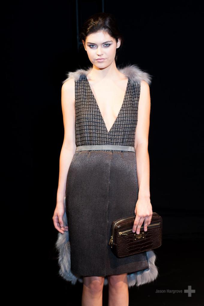 Fashion Seasons Classification Dataset and Pre-Trained Model by Capstone