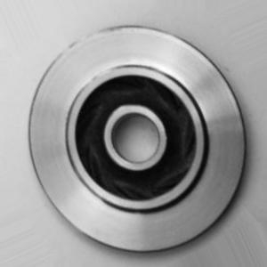 Disc detection pseudo Instance Segmentation Dataset by TFM