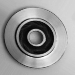 Disc-detection-v2 Instance Segmentation Model by TFM