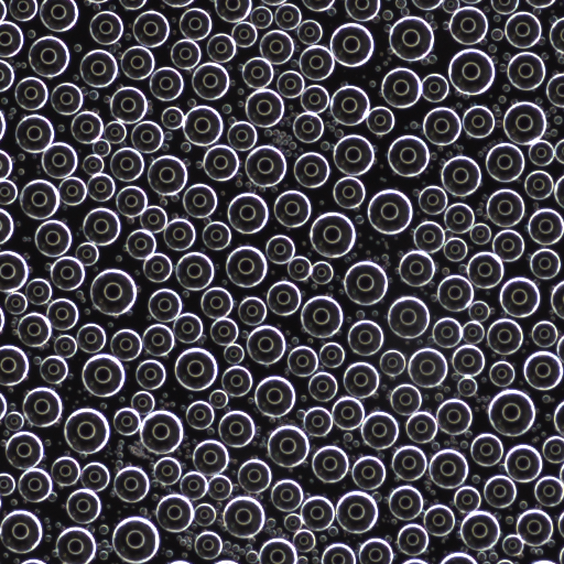 Kaist Model Object Detection Dataset By Rina