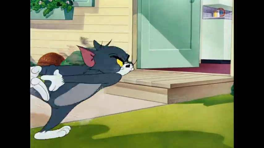 tom_detect Object Detection Dataset by Dhivya