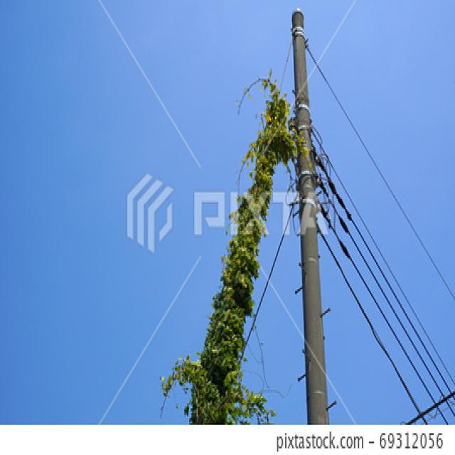 monitor power lines Object Detection Model by finalpaper