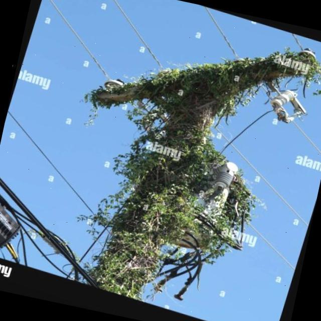 Demo Object Detection Dataset And Pre Trained Model By Finalpaper