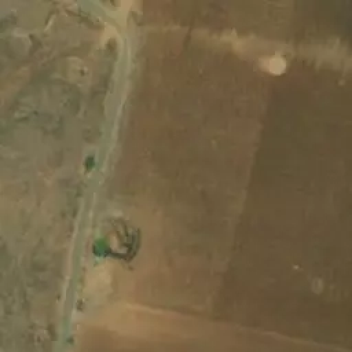 tree2_try Instance Segmentation Dataset by Rijul Kumar