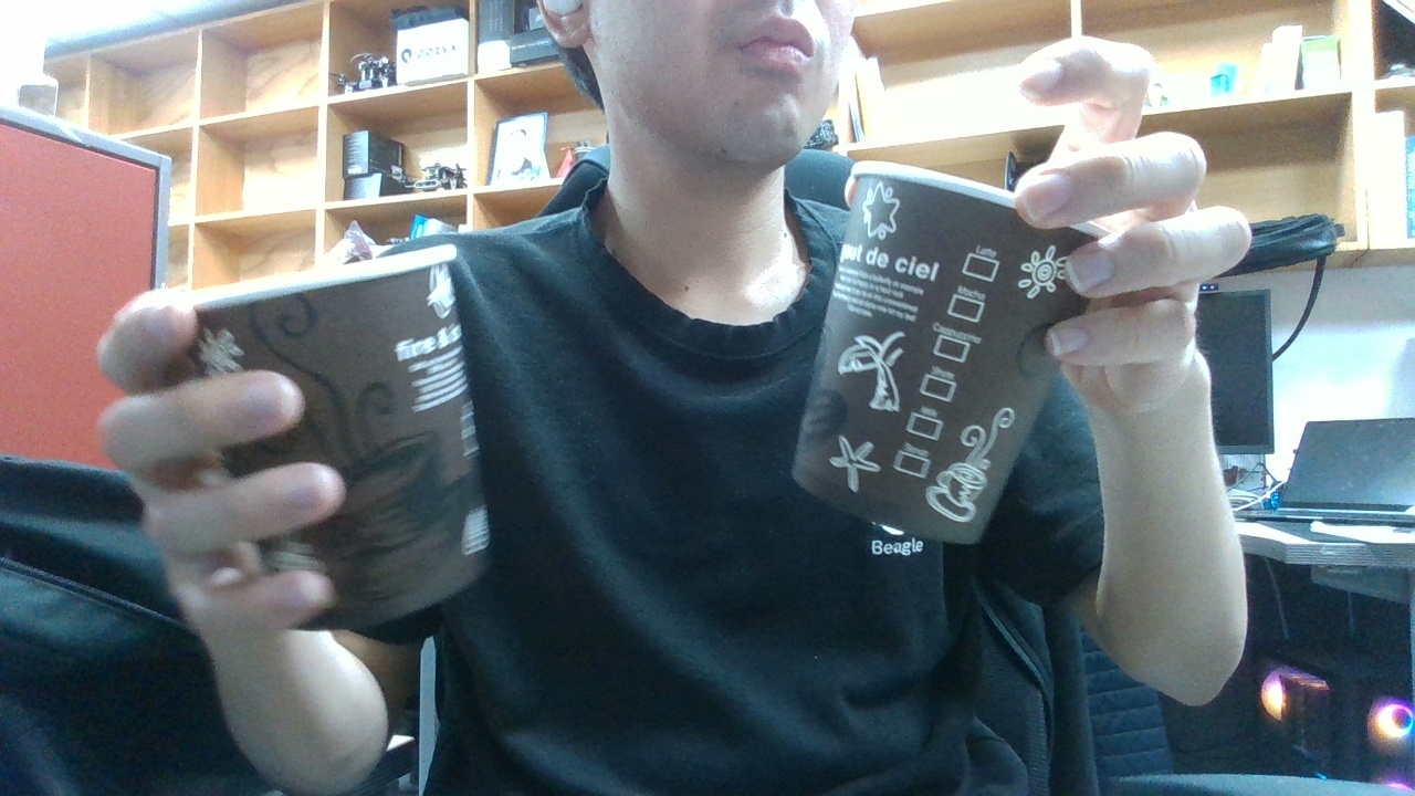 Cup Object Detection Dataset and Pre-Trained Model by Cup