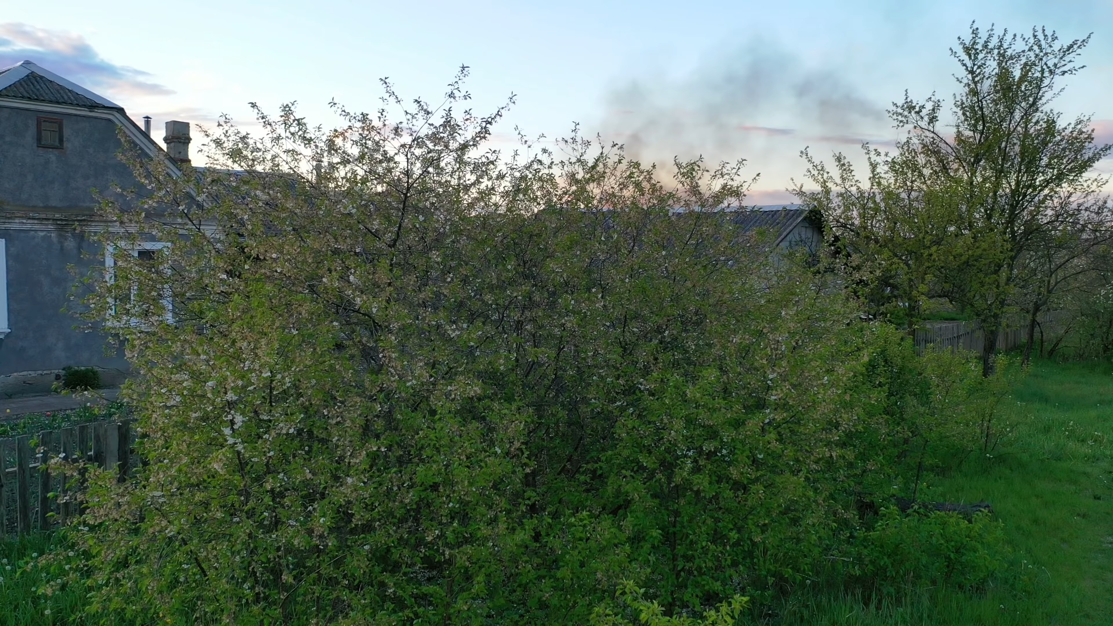 sm-data Instance Segmentation Dataset by vlyrdv