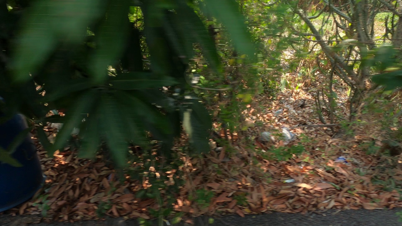 Yolov8 Object Detection Dataset By Chihwei