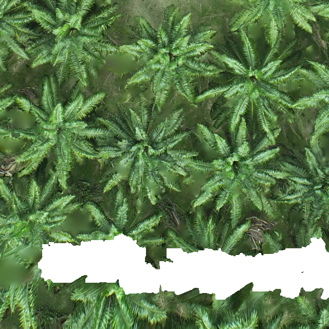 Palm Tree Detection Object Detection Dataset And Pre Trained Model By