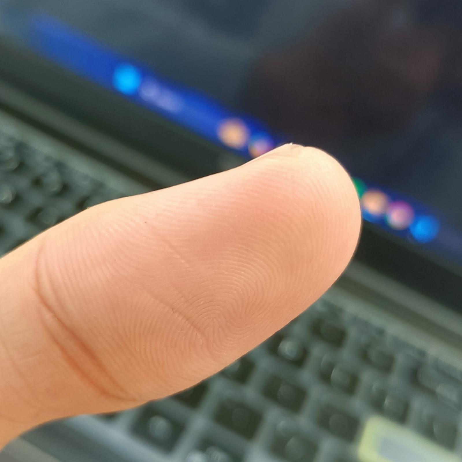 fing Classification Dataset by fingerdata